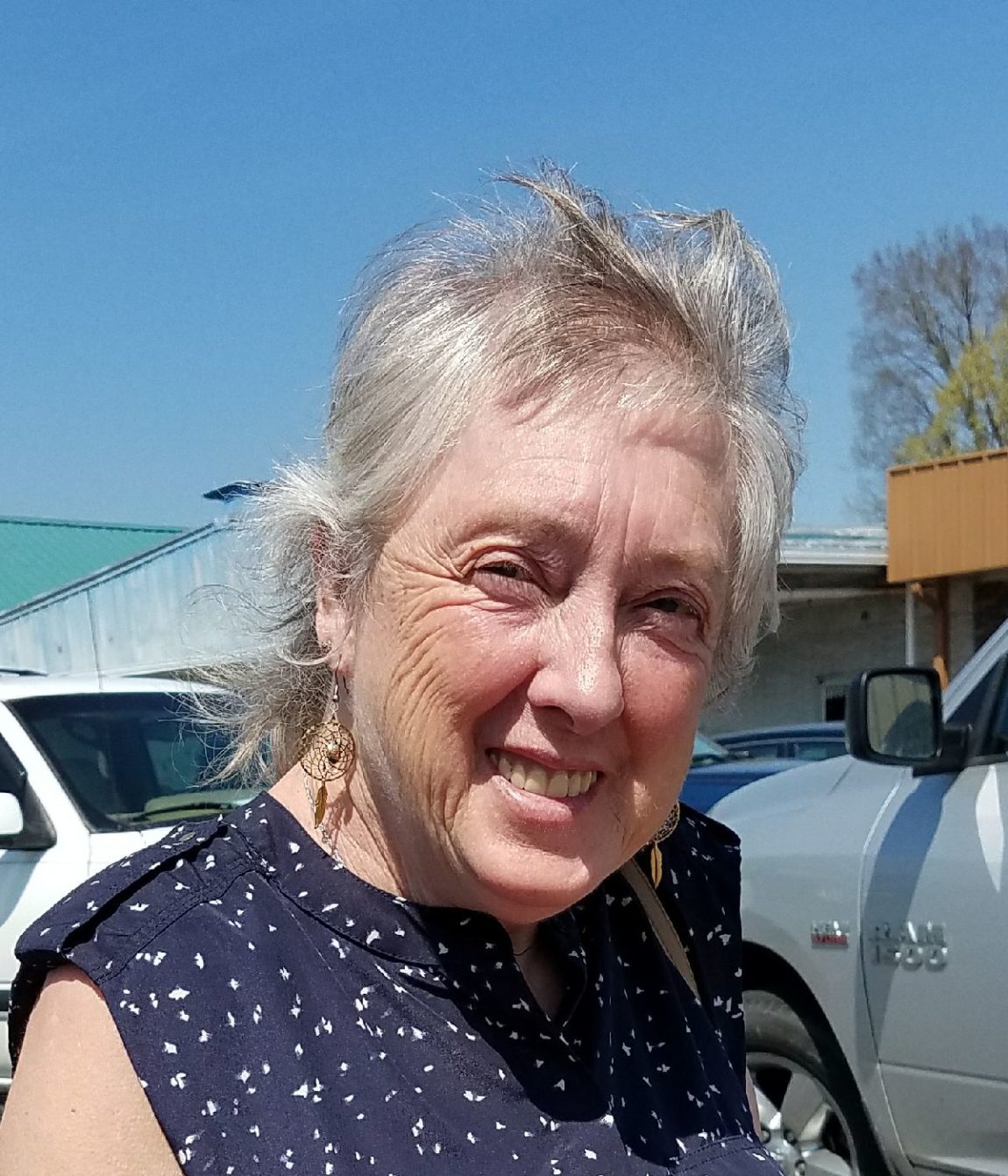 Dawn Robbins, 71 - A Natural State Funeral Service